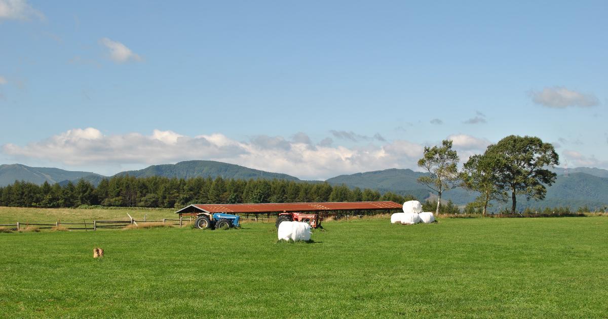 Kako obnoviti stari pašnjak - Poljoprivredni portal